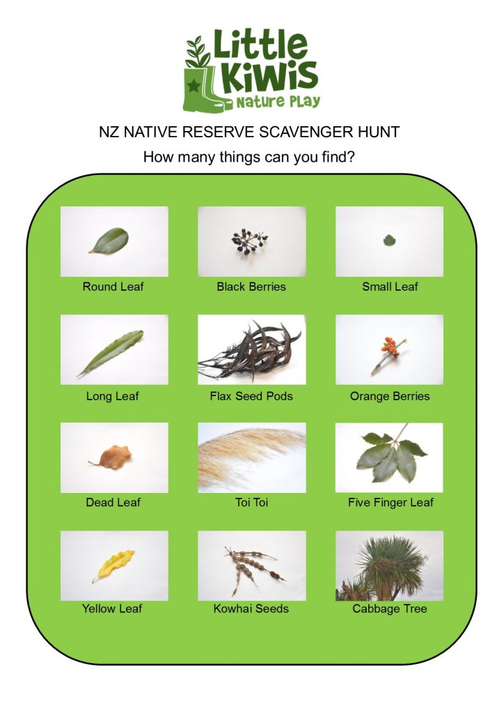 20160625 Winter Native Scavenger Hunt - Little Kiwis Nature Play
