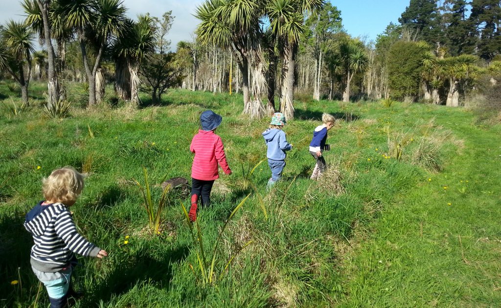 Landing Page # My First Bush Kindy - Little Kiwis Nature Play
