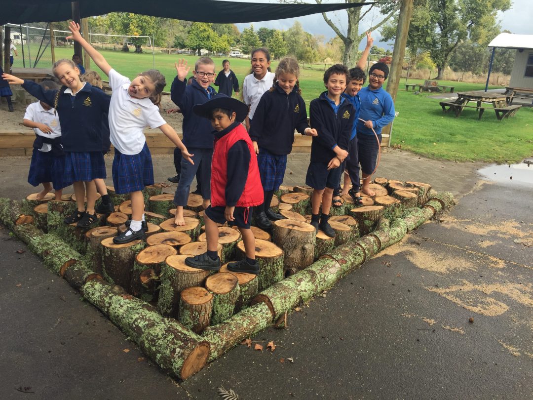 Bring Tree Climbing Back in Schools - Little Kiwis Nature Play
