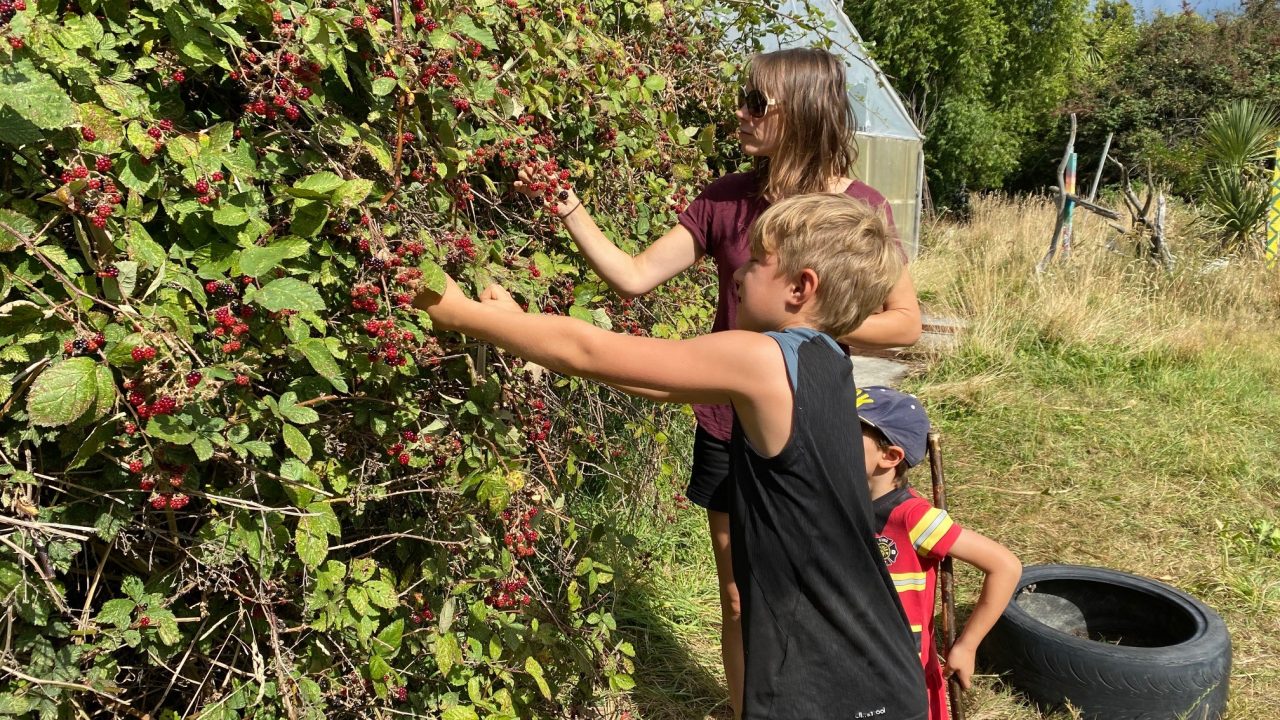 Bush School - Little Kiwis Nature Play