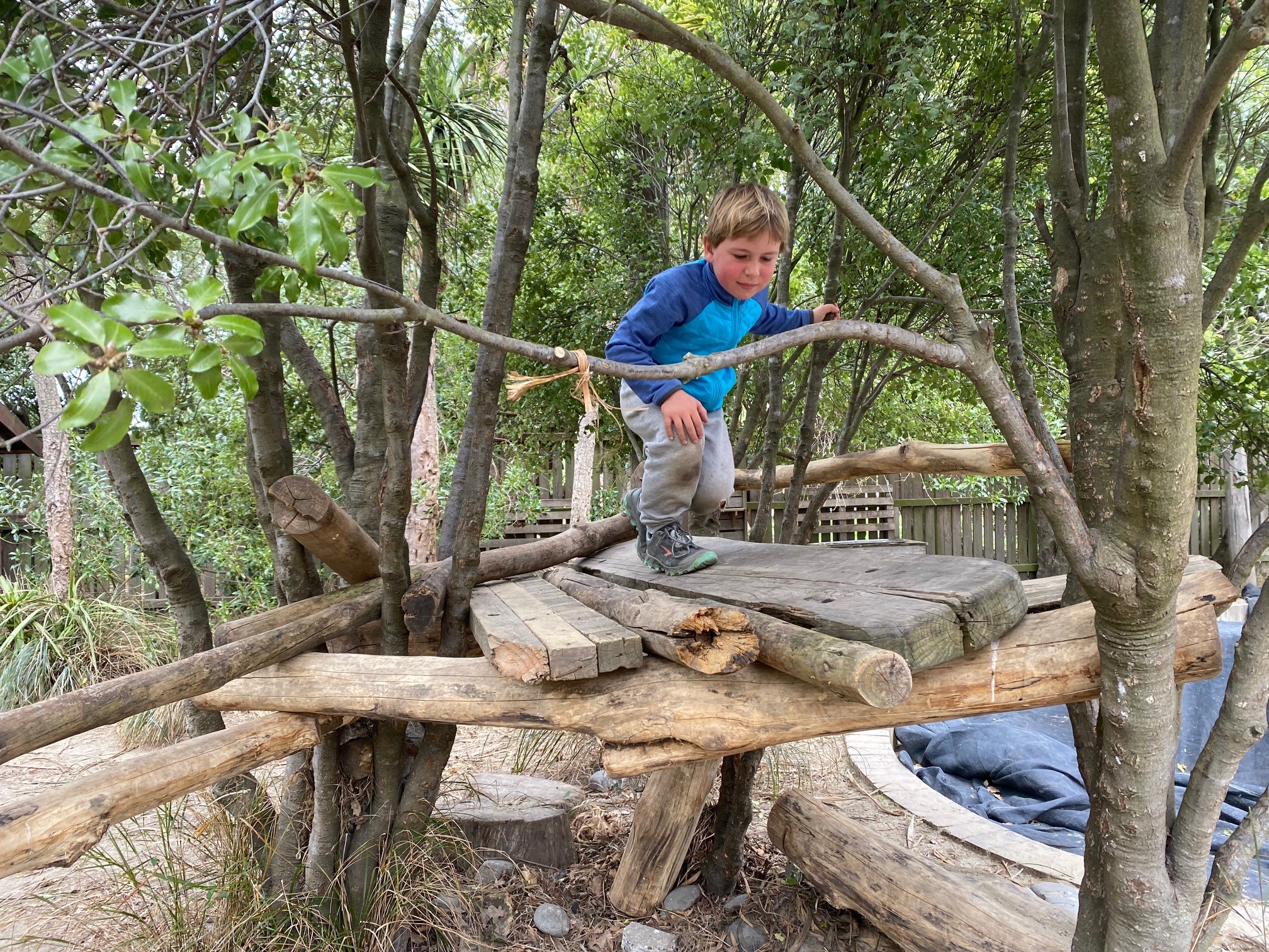 What is Nature Education and What Place Does it Have in New Zealand ...